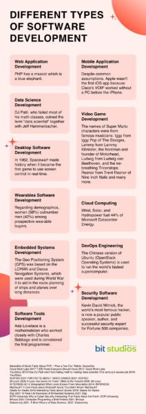 Different Types of Software Development | BIT Studios