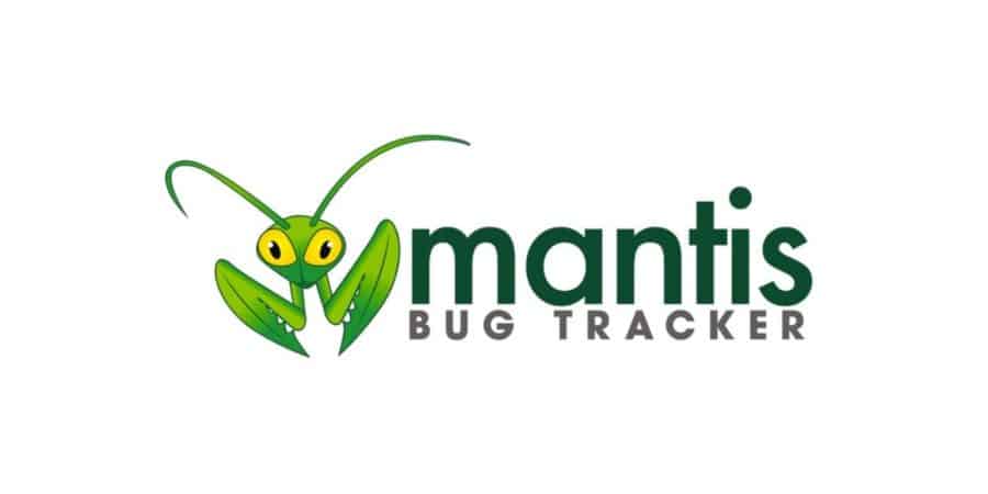 Bugs In Software Testing: Why They Occur & How to Track Them