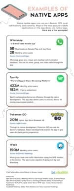 Native Mobile App Development: Everything You Need to Know
