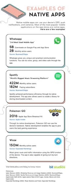 Native Mobile App Development: Everything You Need to Know