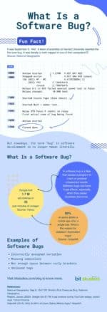 Anatomy of a Bugs Life Cycle in Software Testing / BIT Studios